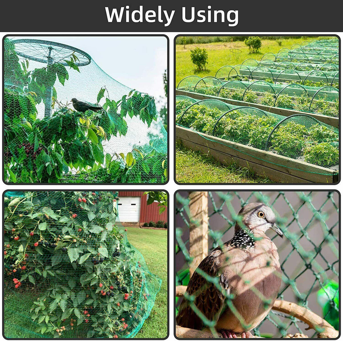 Multi Purpose Garden Netting Anti Bird Pond Plants Veg Fruit Protect ...